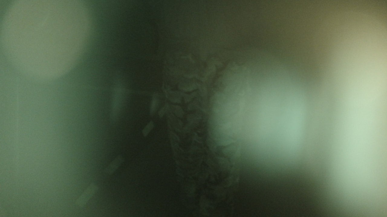 Project 2C-I – HOUND